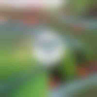 Super-zebra.si – Stran 5